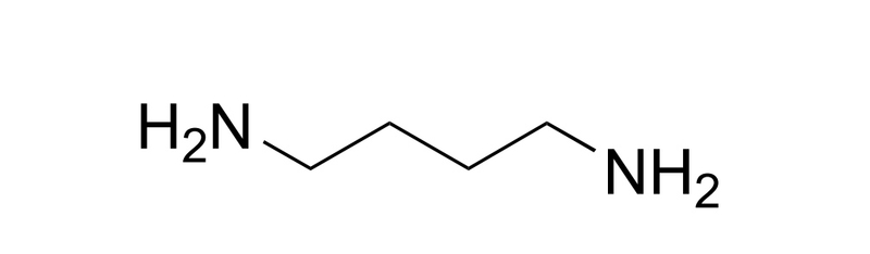1,4-DIAMINOBUTANE from China manufacturer - chengdu Pukang Biological ...